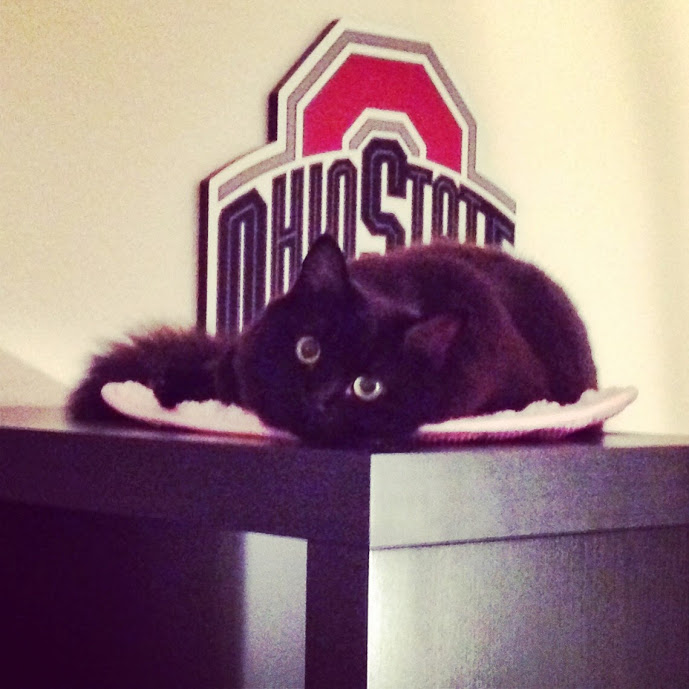 Updates, Taper, and A Movie