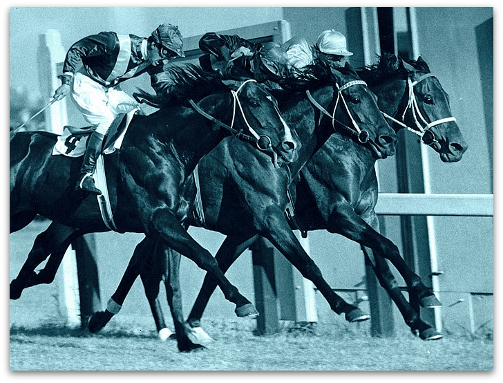 Turf Confidential: The 1956 Hotham Handicap...