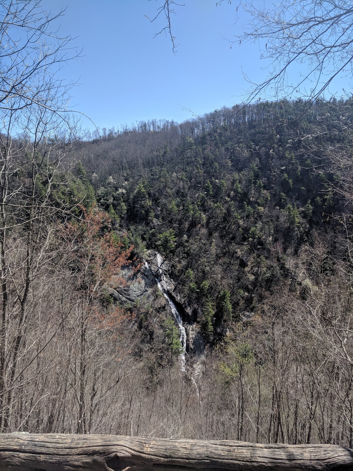 The Hiking Hokie: Bent Mountain Falls/Bottom Creek Gorge