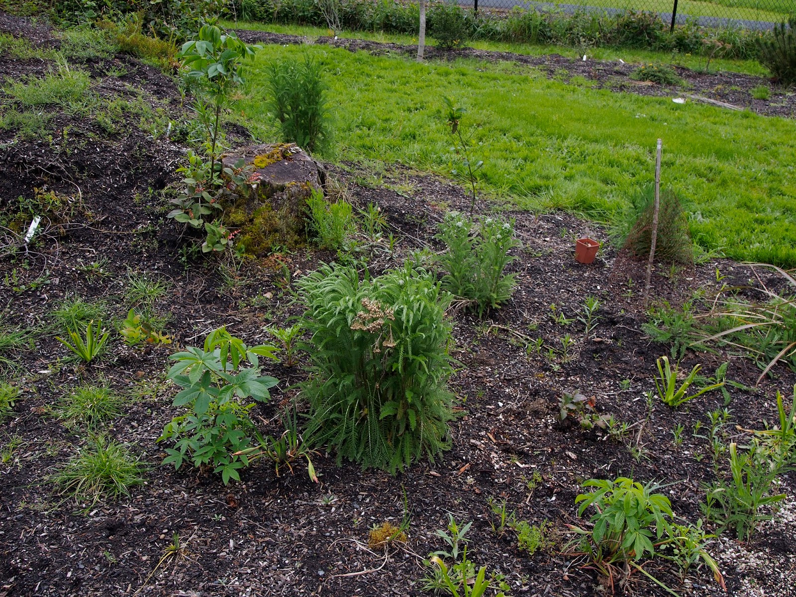 Wednesday Wide Shots