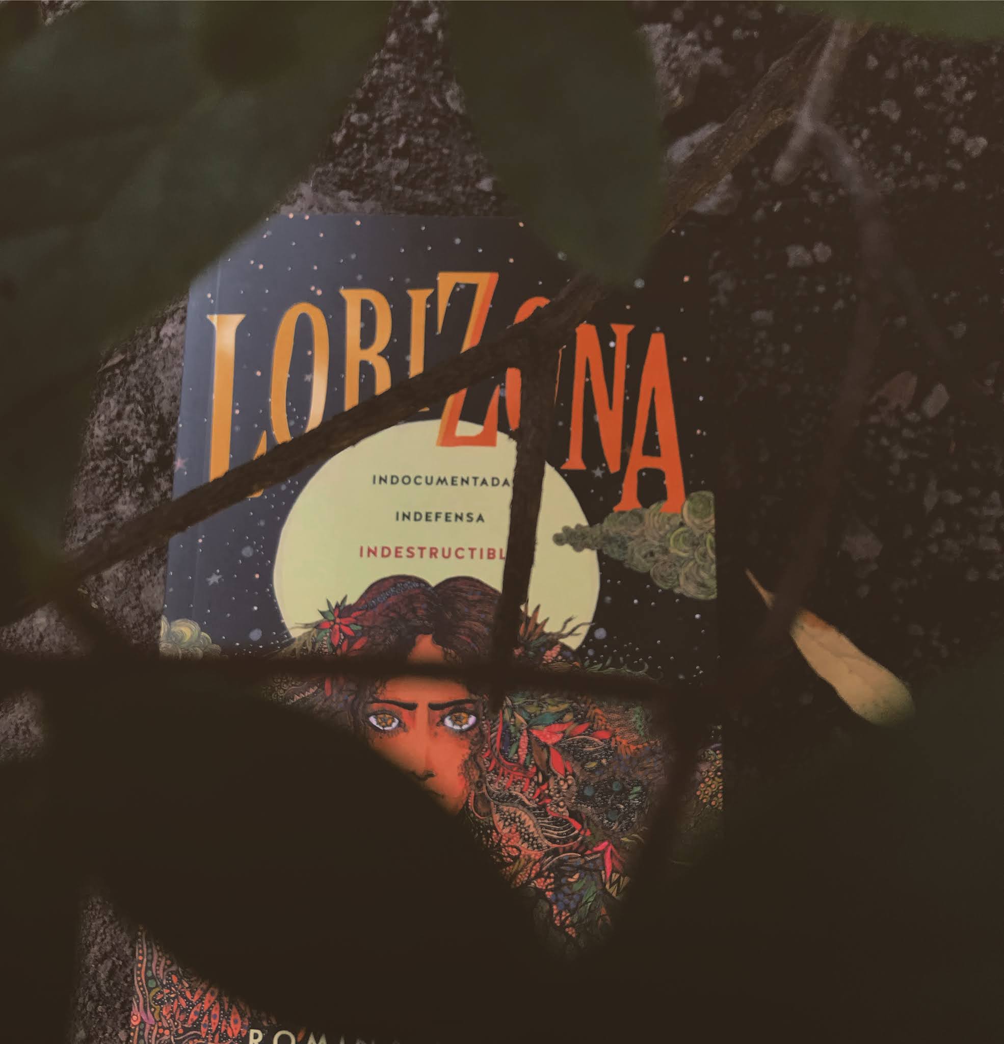 Mi Universo Literario ~Writer♥: "LOBIZONA" DE ROMINA GARBER + ¡ENTREVISTA!