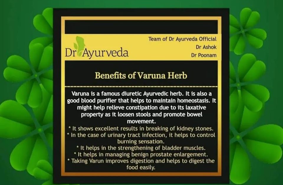Dr Ayurveda Official: Varuna Herb benefits by Dr Ayurveda
