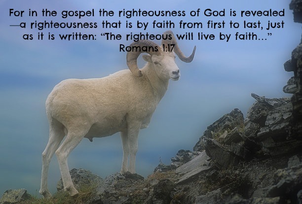 Scripture Saturday ~ Romans 1:17~ Faith ~ Righteous! - Women in the Word