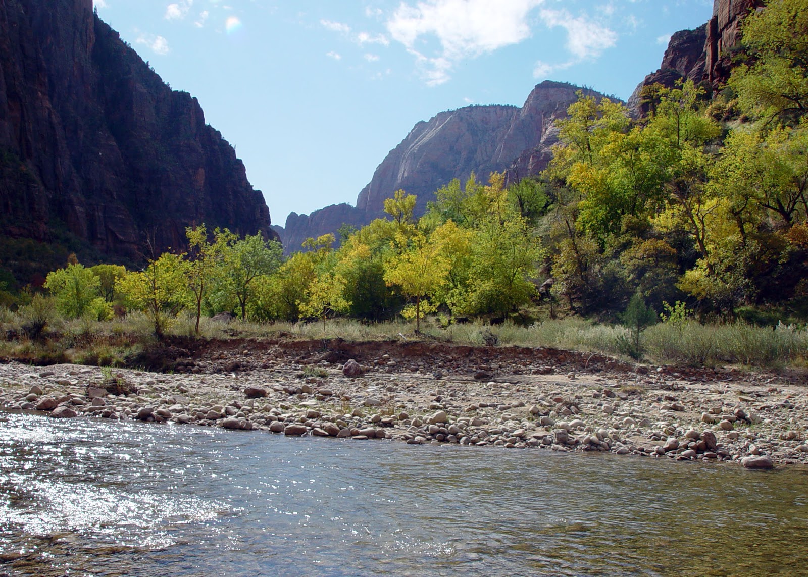 Eden By The Bay: Zion National Park