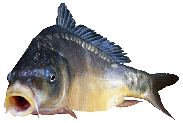 Gadżety na dobry dzień: Wtorkowe - 3 koperty autografowe