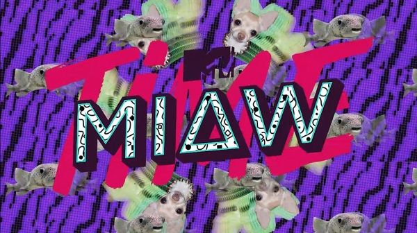 ESTRENOS, NOTICIAS Y ENTRETENIMIENTO: MTV-MIAW TRANSMISIÓN EN VIVO POR MTV