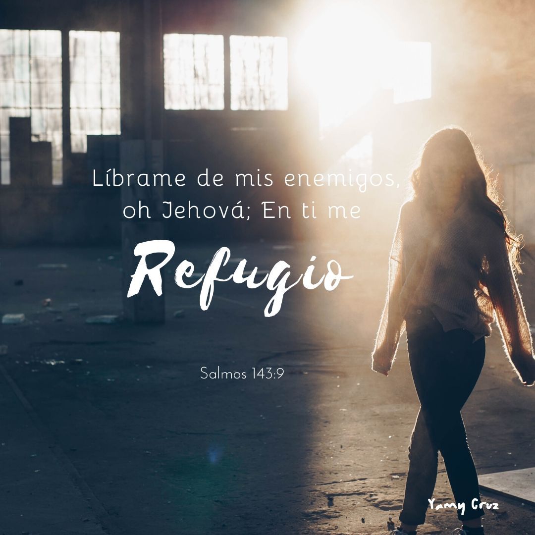Reflexiones Diarias de Vida Reflexiones Diarias de Vida