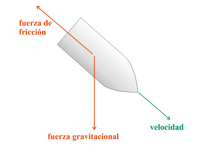 Vox Populi de la Ciencia: El riesgo de realizar disparos al aire