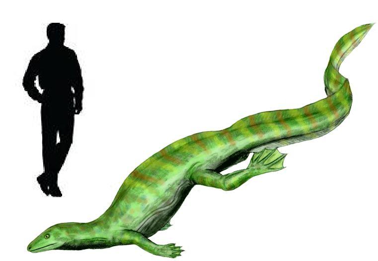 Los animales en la prehistoria: Animales prehistóricos con la letra H