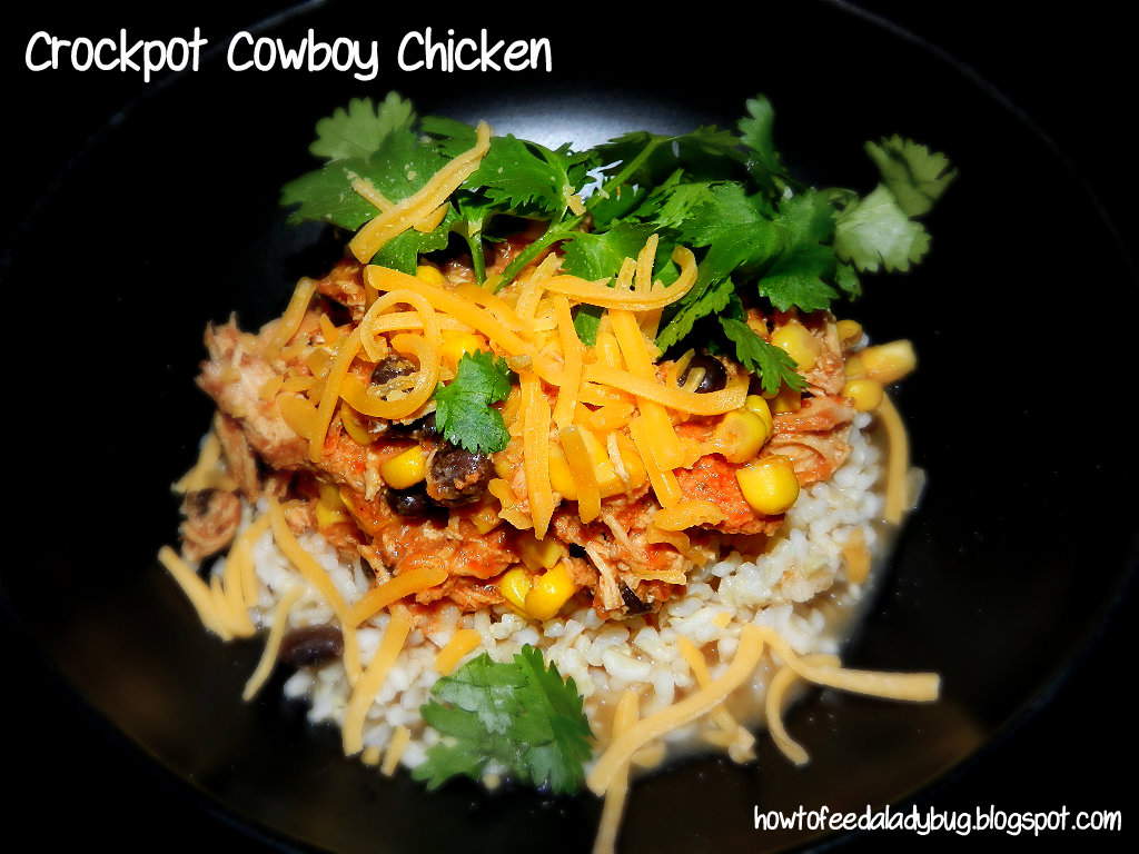 How To Feed a Ladybug: Crockpot Cowboy Chicken