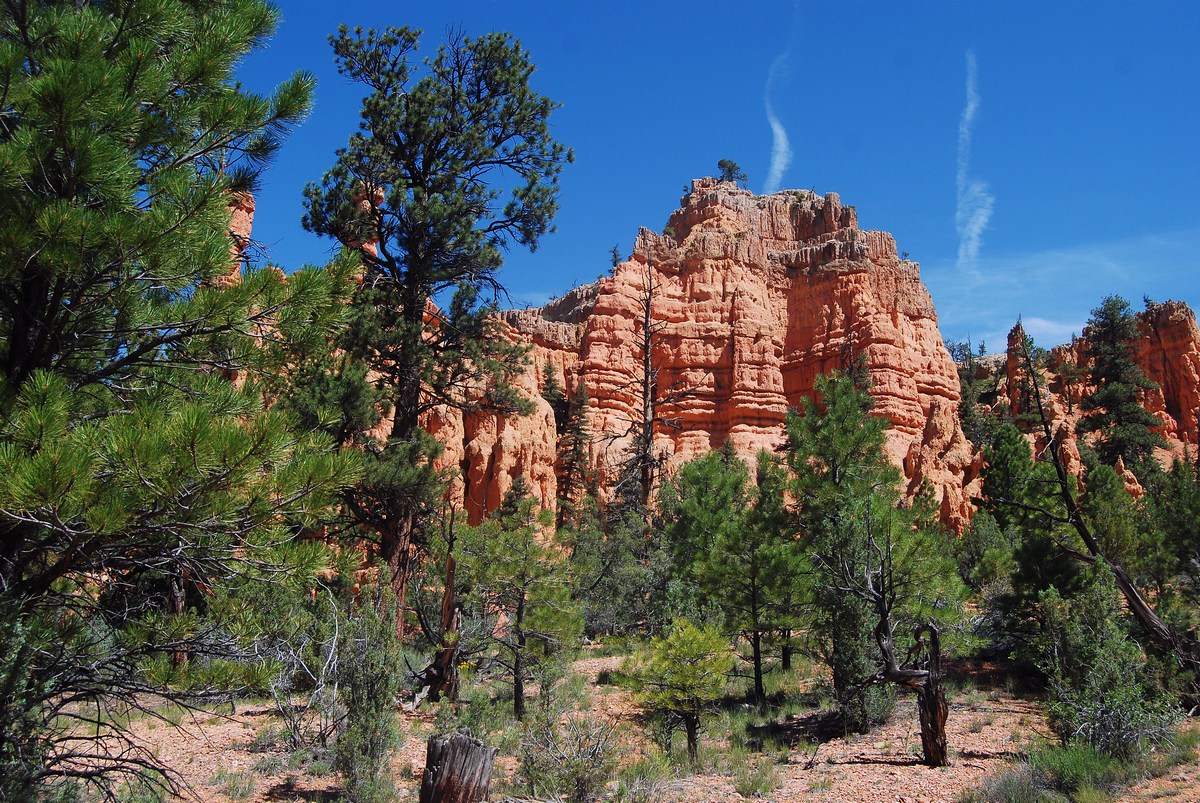 Etats-Unis - Red Canyon State Park, Utah - Les routes de tous les voyages