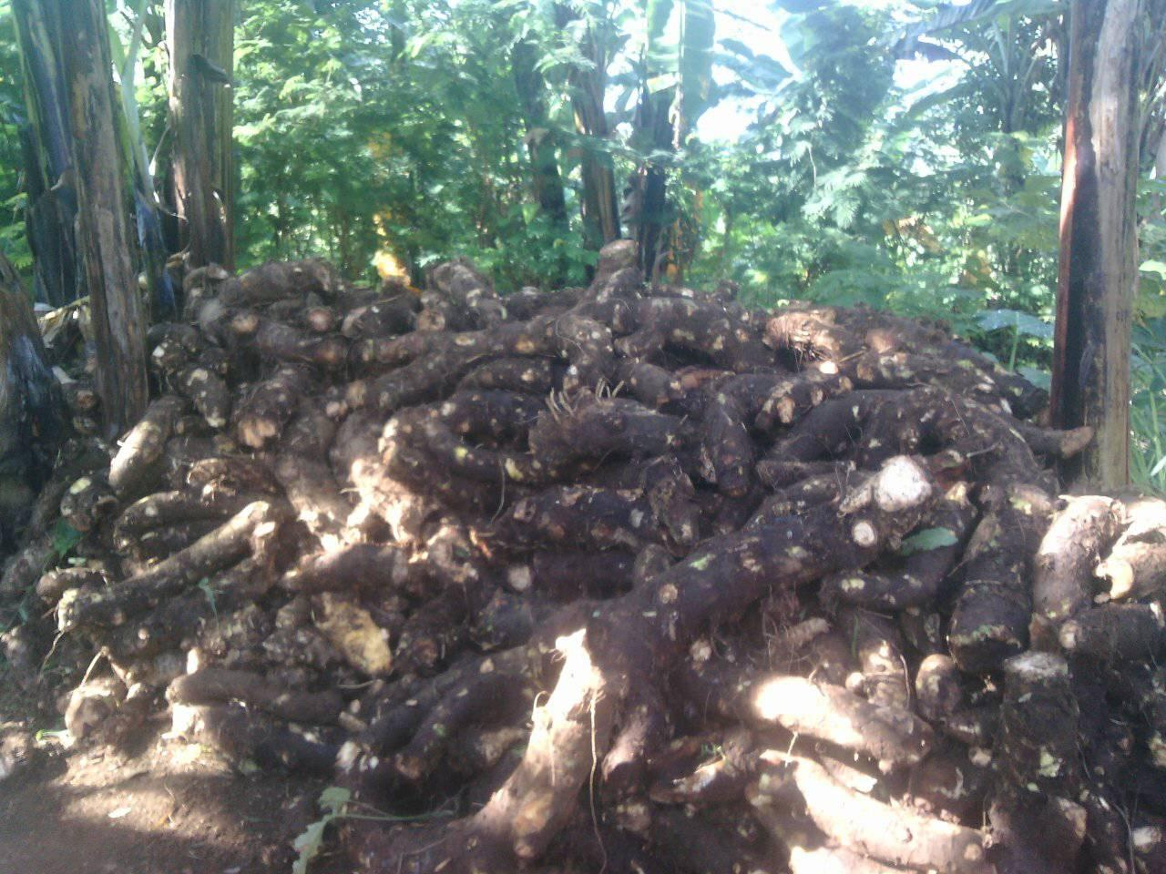 CV.TALAS JAYA NUSANTARA