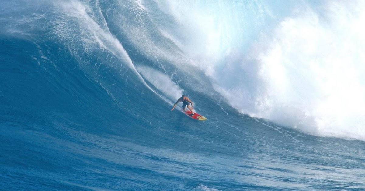 Surfing Cute Wallpapers 5