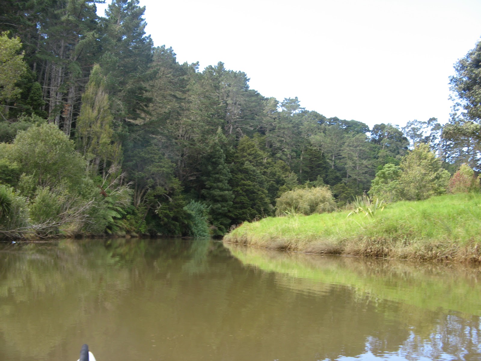 A Wandering Widow - Solo Travel: Puhoi and Kayaking the Puhoi River