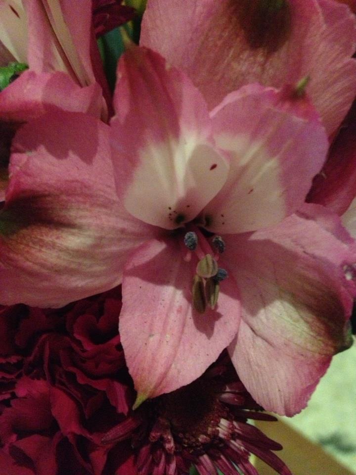 Hicks Hiking: Pink Out!