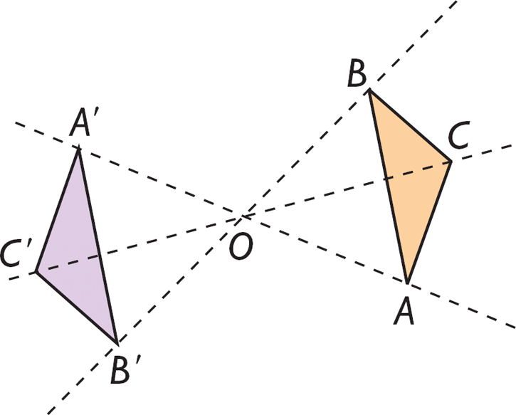 TERCERO DE SECUNDARIA: HOMOTECIA