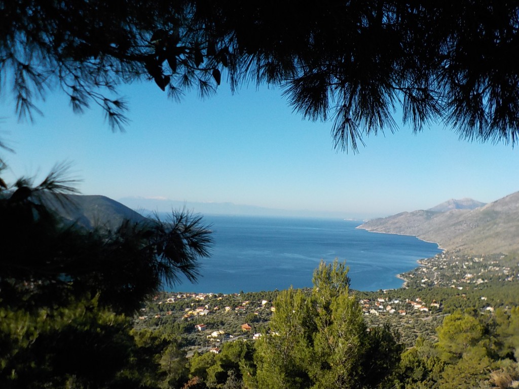 ΤΟ ΜΟΝΟΠΑΤΙ ΤΗΣ ΑΛΚΥΟΝΗΣ