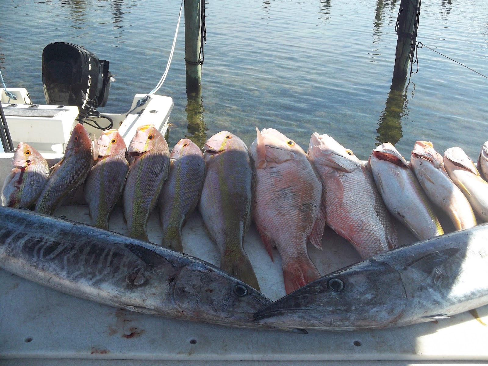 Florida Keys Charterboat Fishing, Islamorada Fishing Charters,Key Largo ...