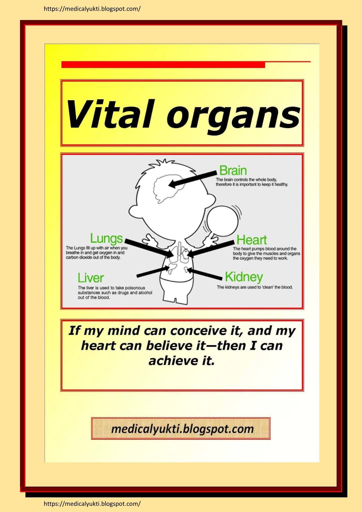 Vital organs - Medical Yukti