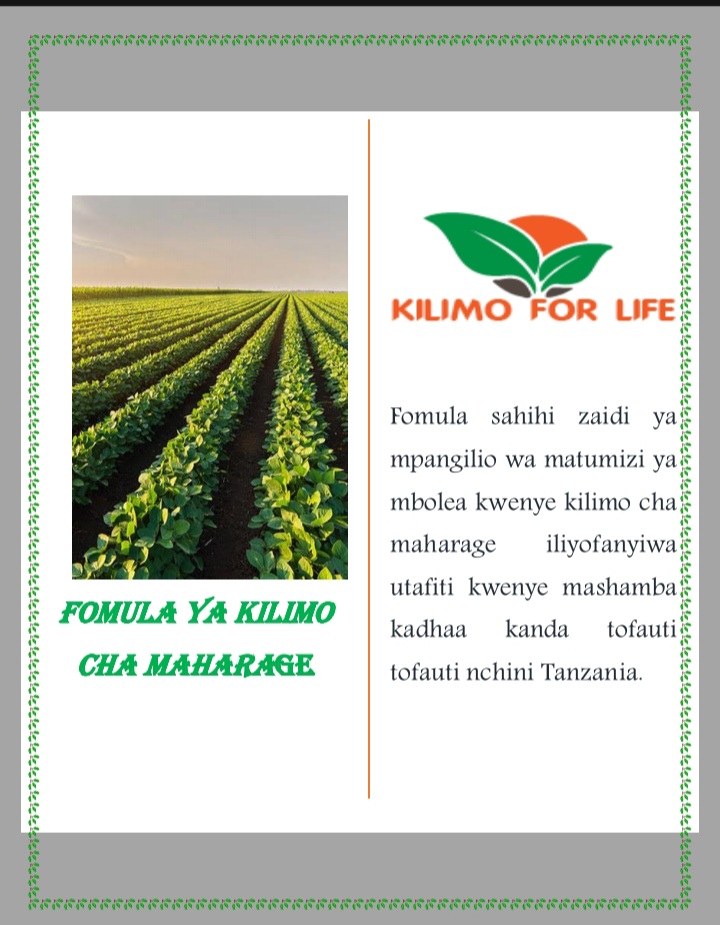 MUONGOZO MFUPI WA KILIMO CHA MAHARAGE