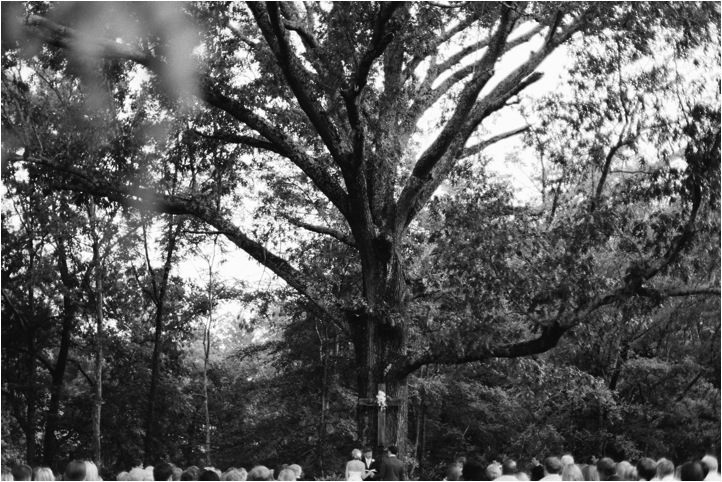 The Southern Swoop Blog