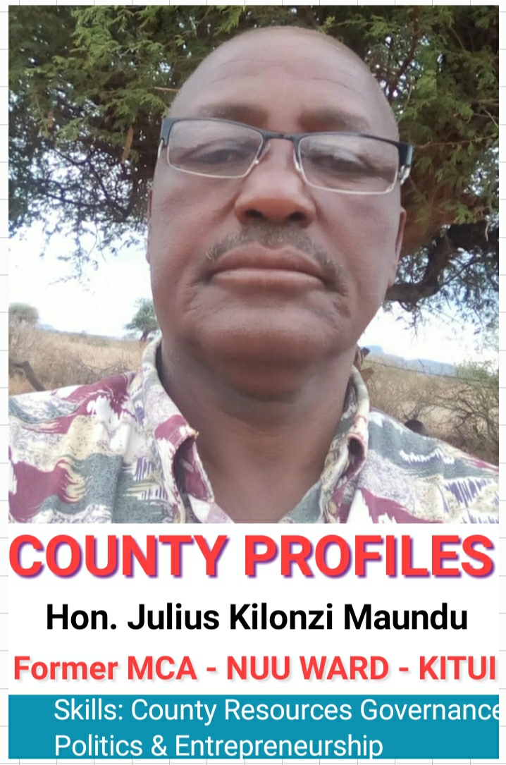 COUNTYPRESSKENYA: How Former Majority Leader Kilonzi Maundu Forges ...