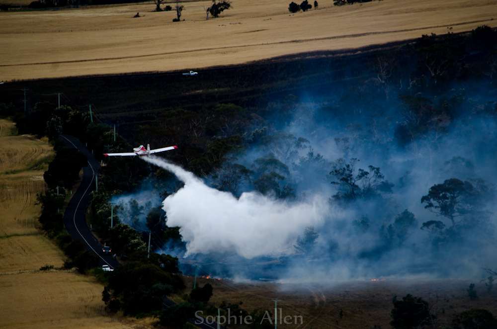 iSophie: The -worst- day ever! (Bushfires)