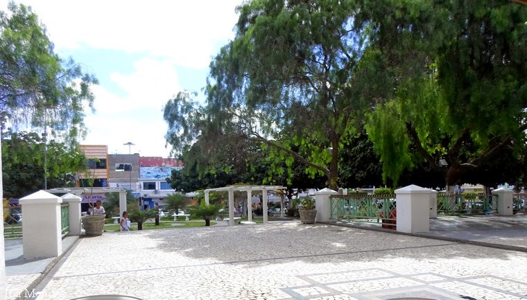 Iba Mendes: Capim Grosso: sua história e seu povo (Fotos e Fatos)