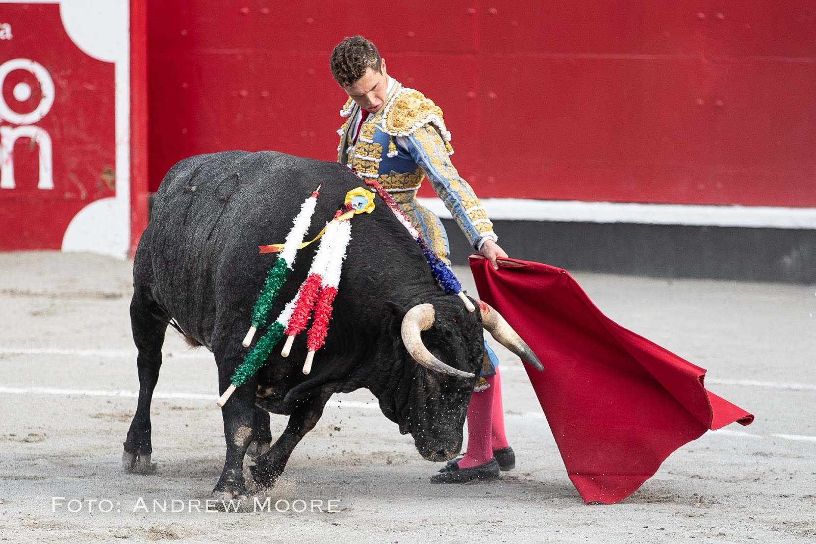 Del toro al infinito: Los toros de Azpeitia en el objetivo de Andrew ...