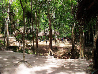 VIAGEM, TURISMO E AVENTURAS POR LUGARES INCRÍVEIS : BOCA DA MATA ...