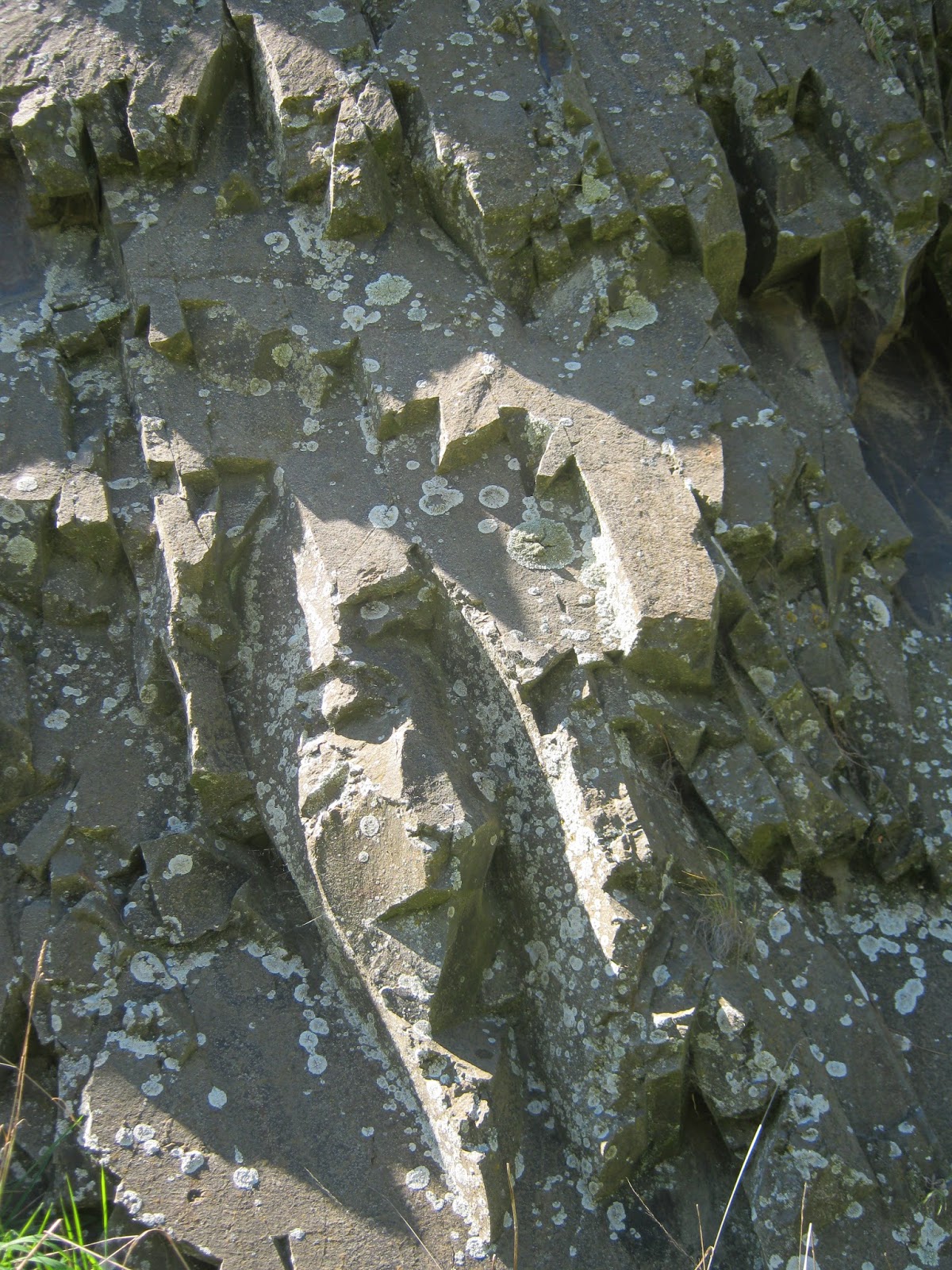 lynwaho: Halswell Quarry Park