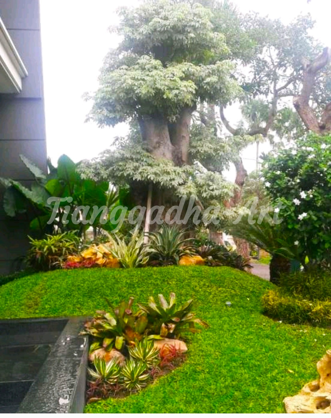 4 Hal Yang Perlu Diperhatikan Dalam Pembuatan Taman - JASA TUKANG TAMAN ...