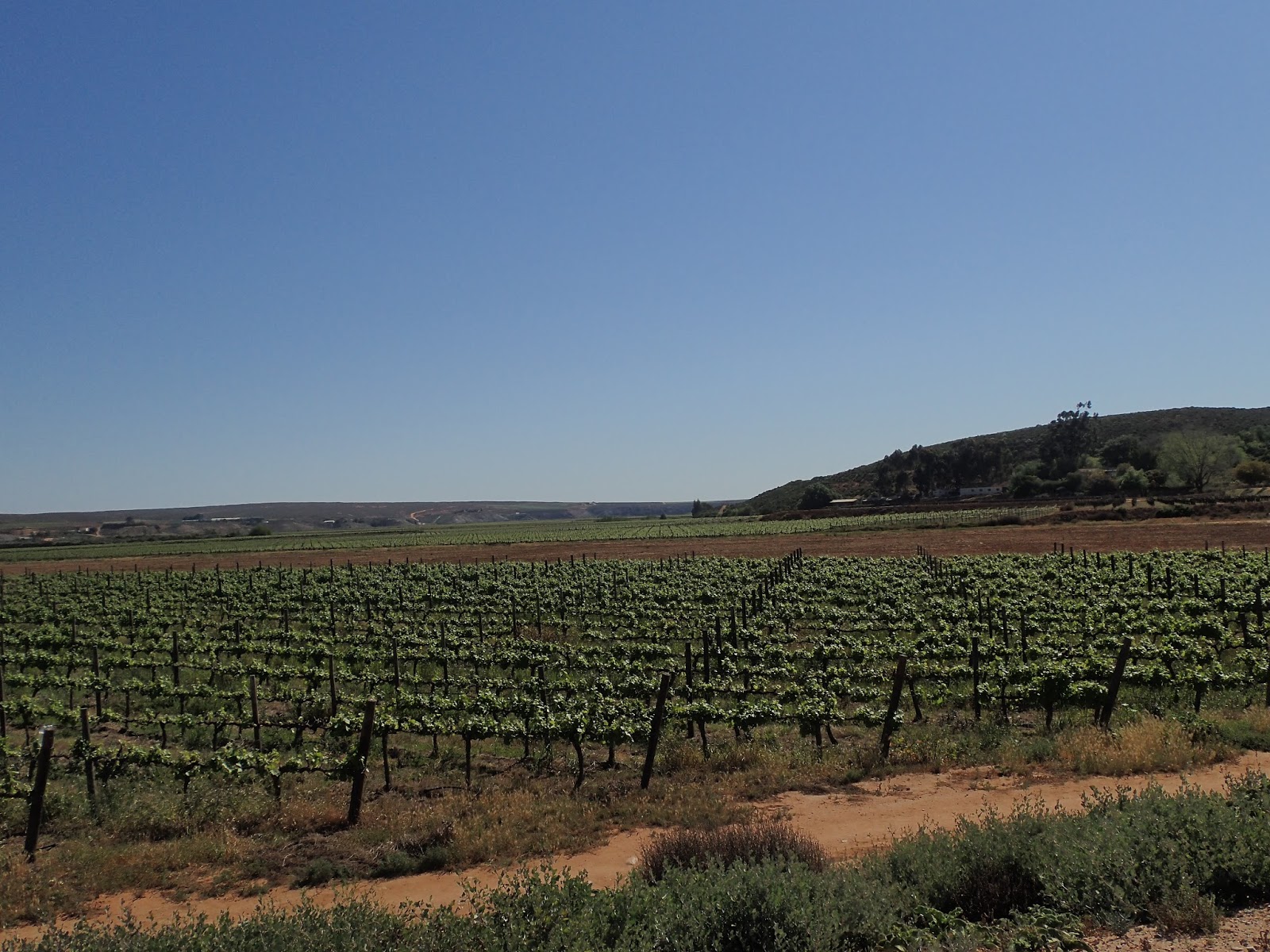 De Nantes à //Hui !Gaeb