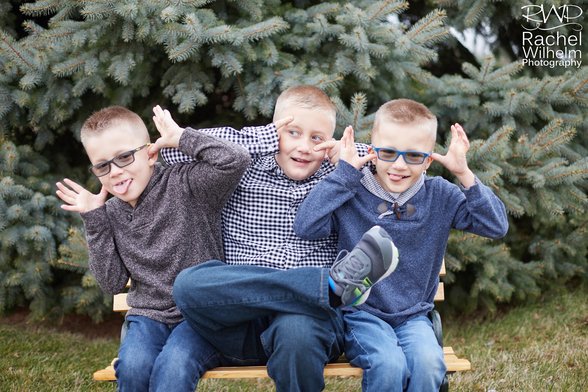 Rachel Wilhelm Photography