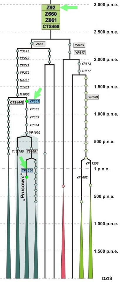 TOLKNIĘTY: Baltic ancestry of Prof. Tolkien confirmed! The Tolkiens' Y ...