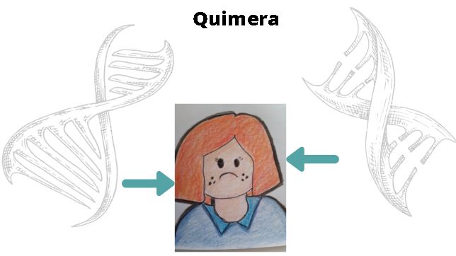 De la mitología griega al mundo real, quimeras