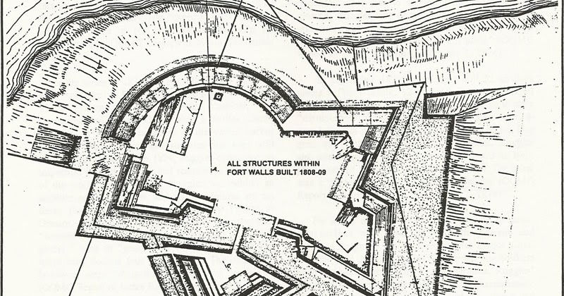 Tangled Roots and Trees: Fort Norfolk