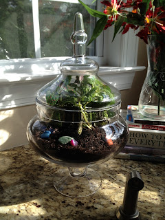 Two Sides of the Rainbow: Terrarium {Beauty}