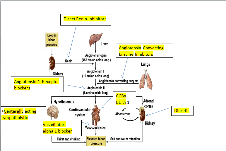 Anti-hypertensive drugs classification and mechanism of action ...