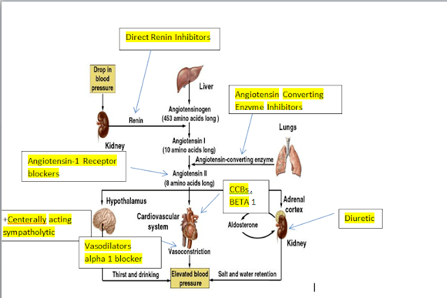 Anti-hypertensive drugs classification and mechanism of action ...