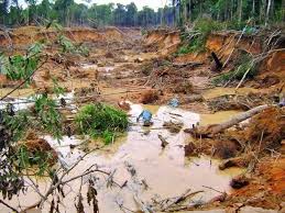 Destrucción de los bosques y selvas tropicales: 10/12/14