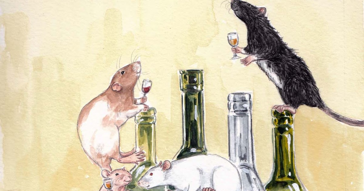 The Art of The Illustrated Rat: Red red wine...& Rats