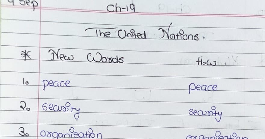 Evs United Nations (Notebook and workbook exercise)