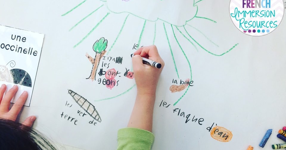 What we've been working on... - Primary French Immersion Resources