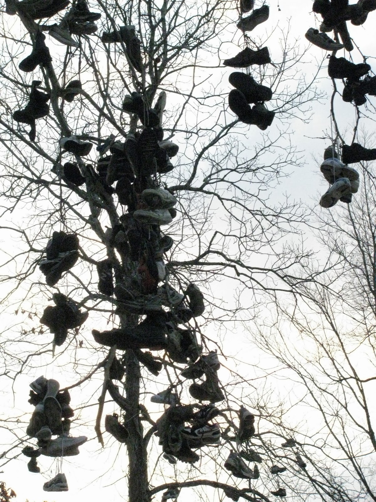 Eerie Indiana: The Famous Shoe Tree, Milltown, Indiana