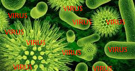 Ciri, Struktur, Peran, dan Macam-Macam Virus Pada Manusia,Hewan dan ...