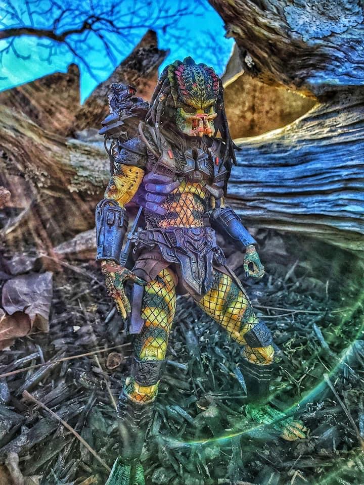 JIMSMASH ! ! !: COOL PREDATOR FIGURE PICS