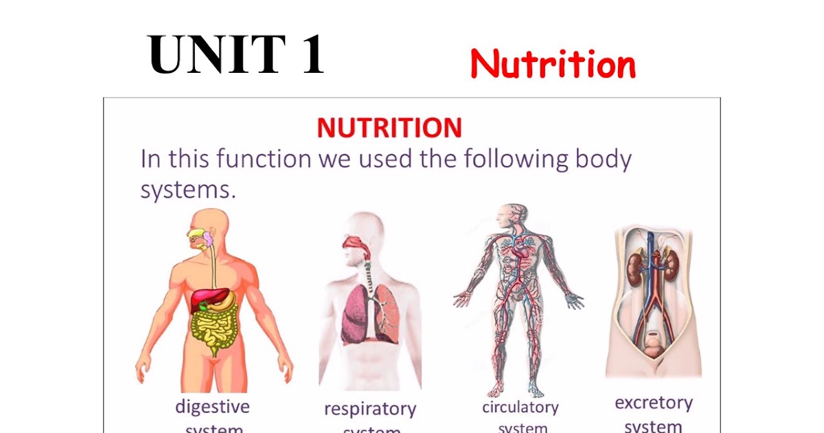 Chronicles from outerspace: The Nutrition Function (Unit 1)
