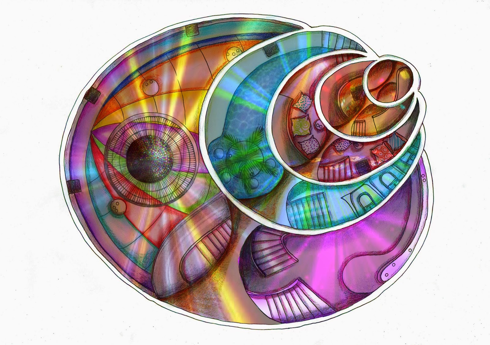 RhiDzine : Disco Shell 2024