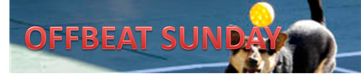 A Pickleball Life: Offbeat Sunday - Pickleball Memes (Part 1)